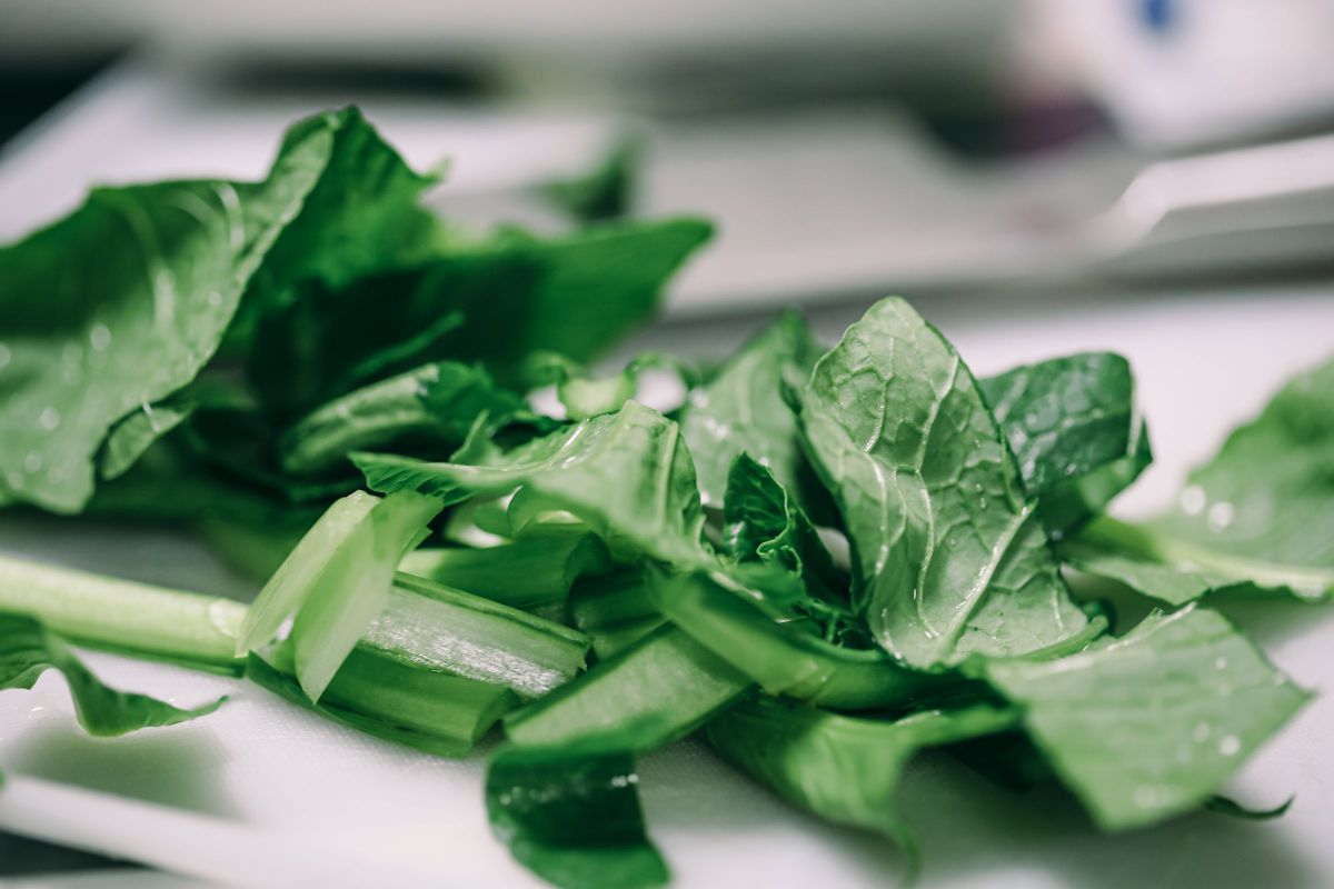 野菜もしっかり食べよう。 | GANREF