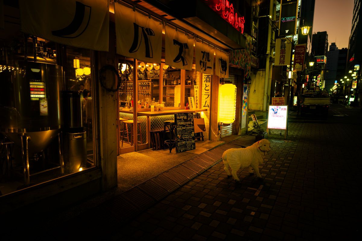 ヒツジのお店番 | GANREF