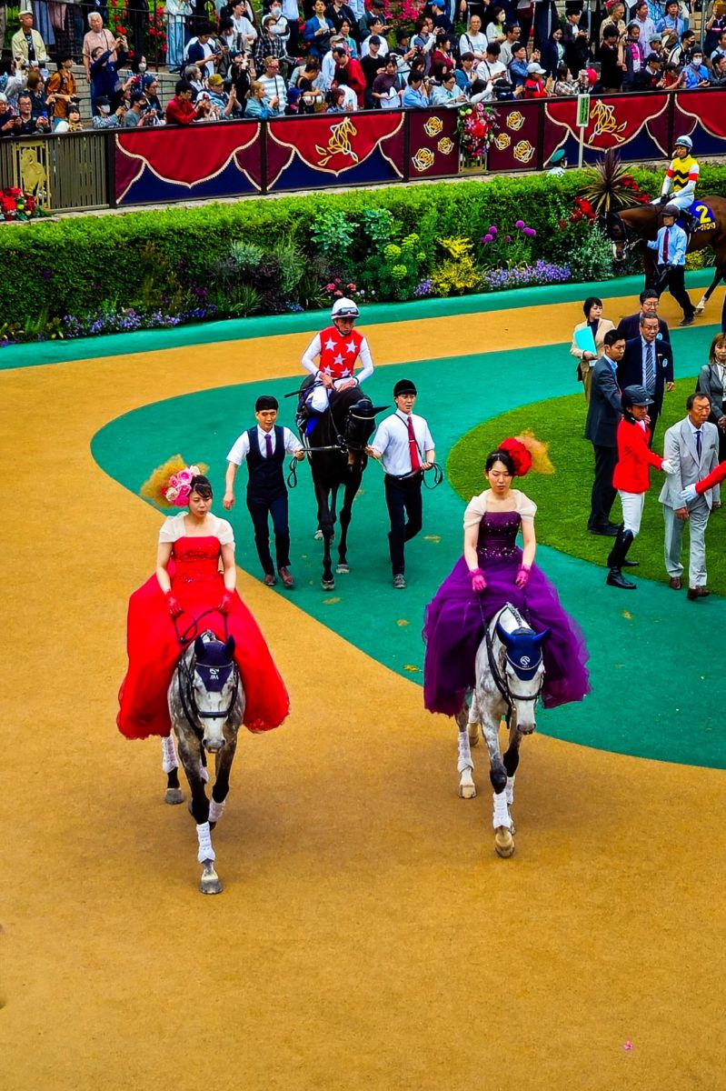 2025優駿牝馬オークス | GANREF