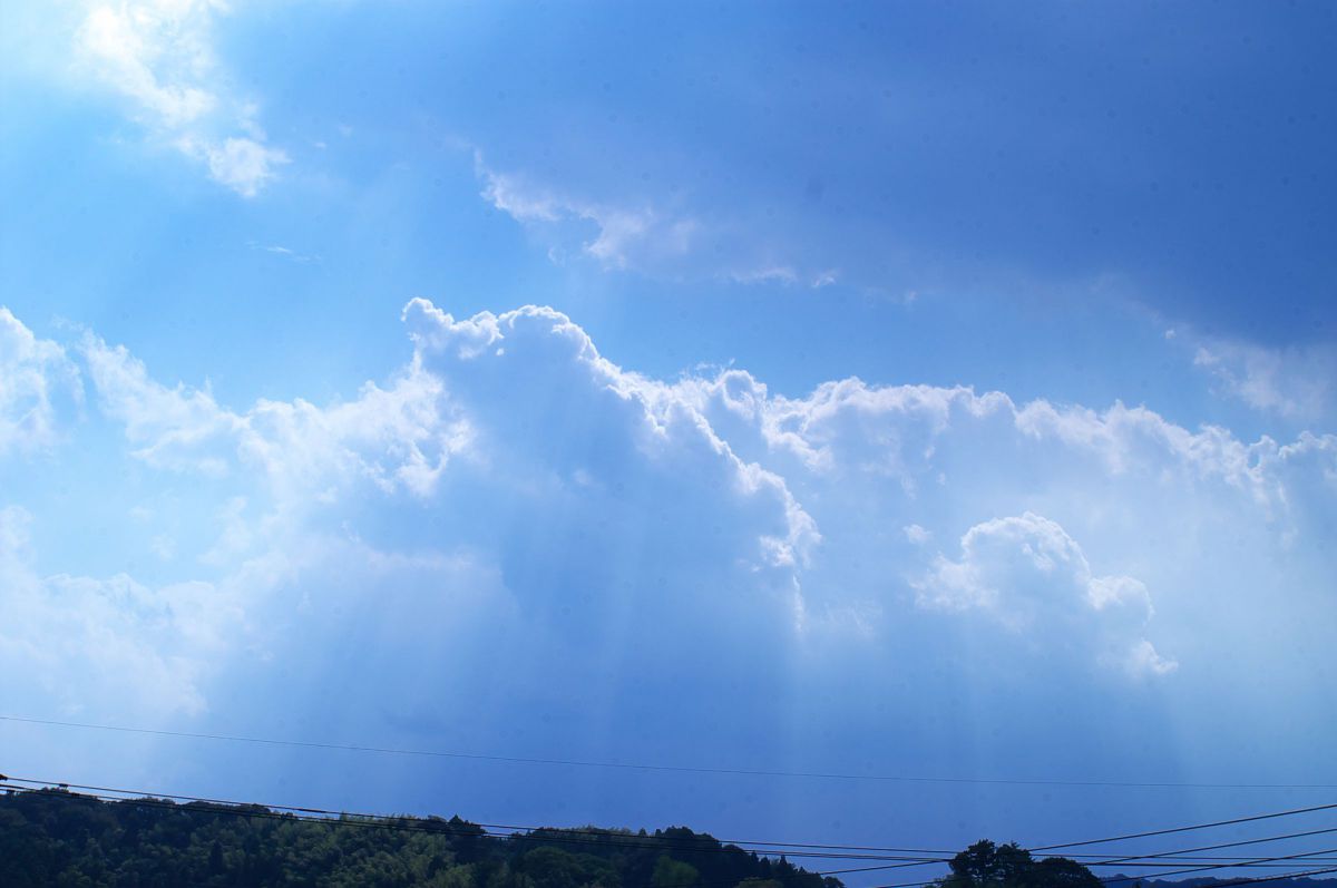 天使の梯子 | GANREF