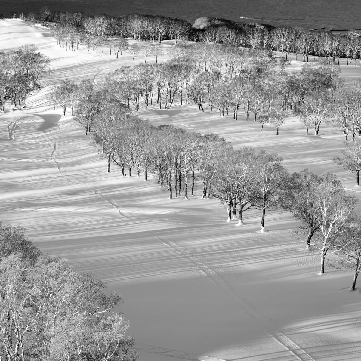 Shadow Lines | GANREF