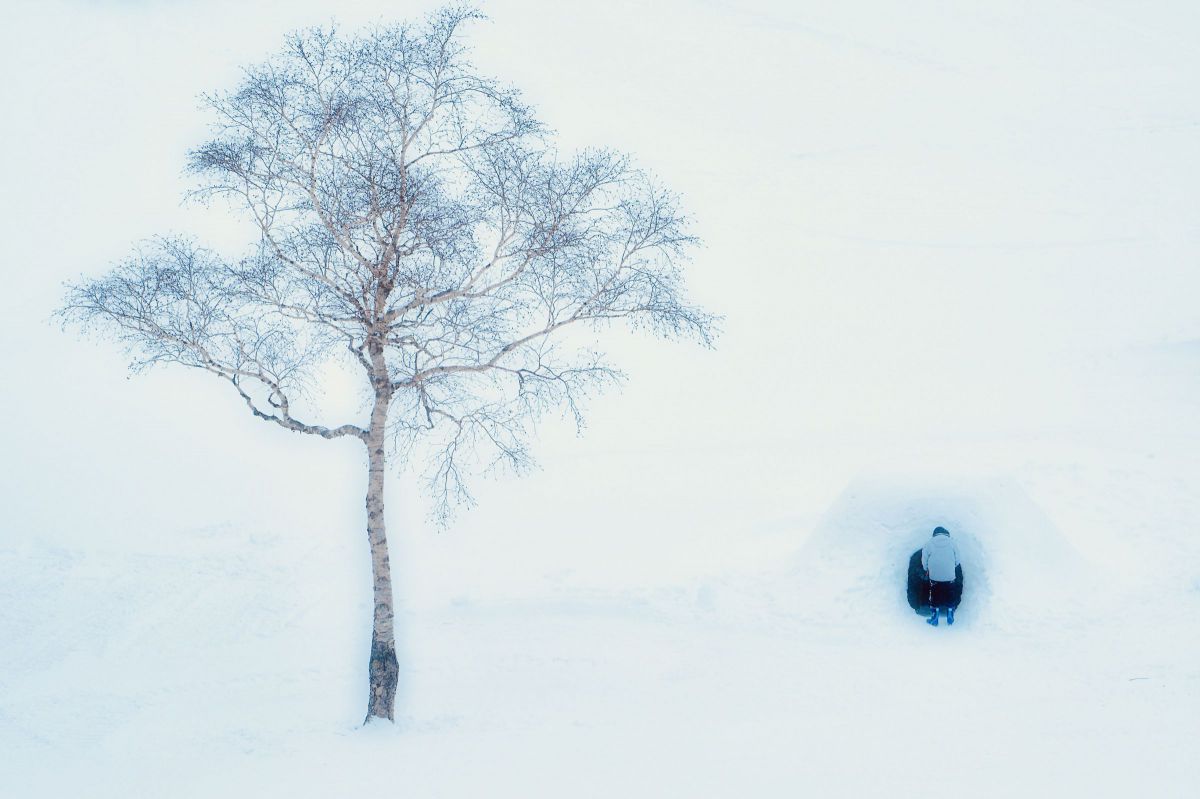 Welcome to my house | GANREF