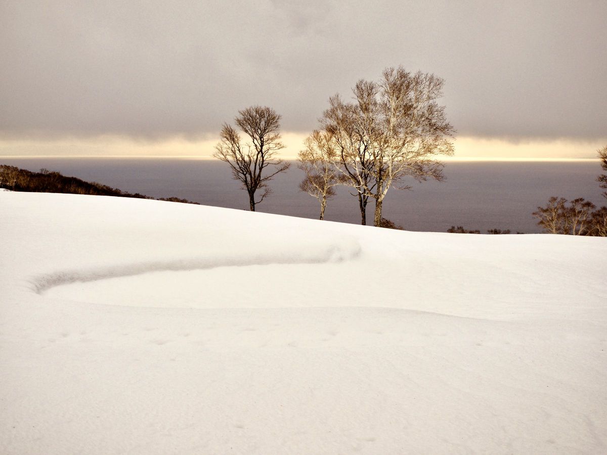 Goodbye Day | GANREF