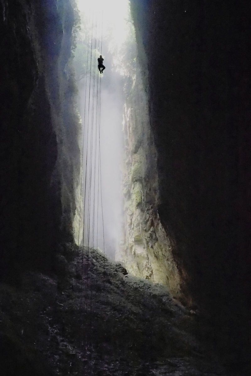 Lost World* | GANREF