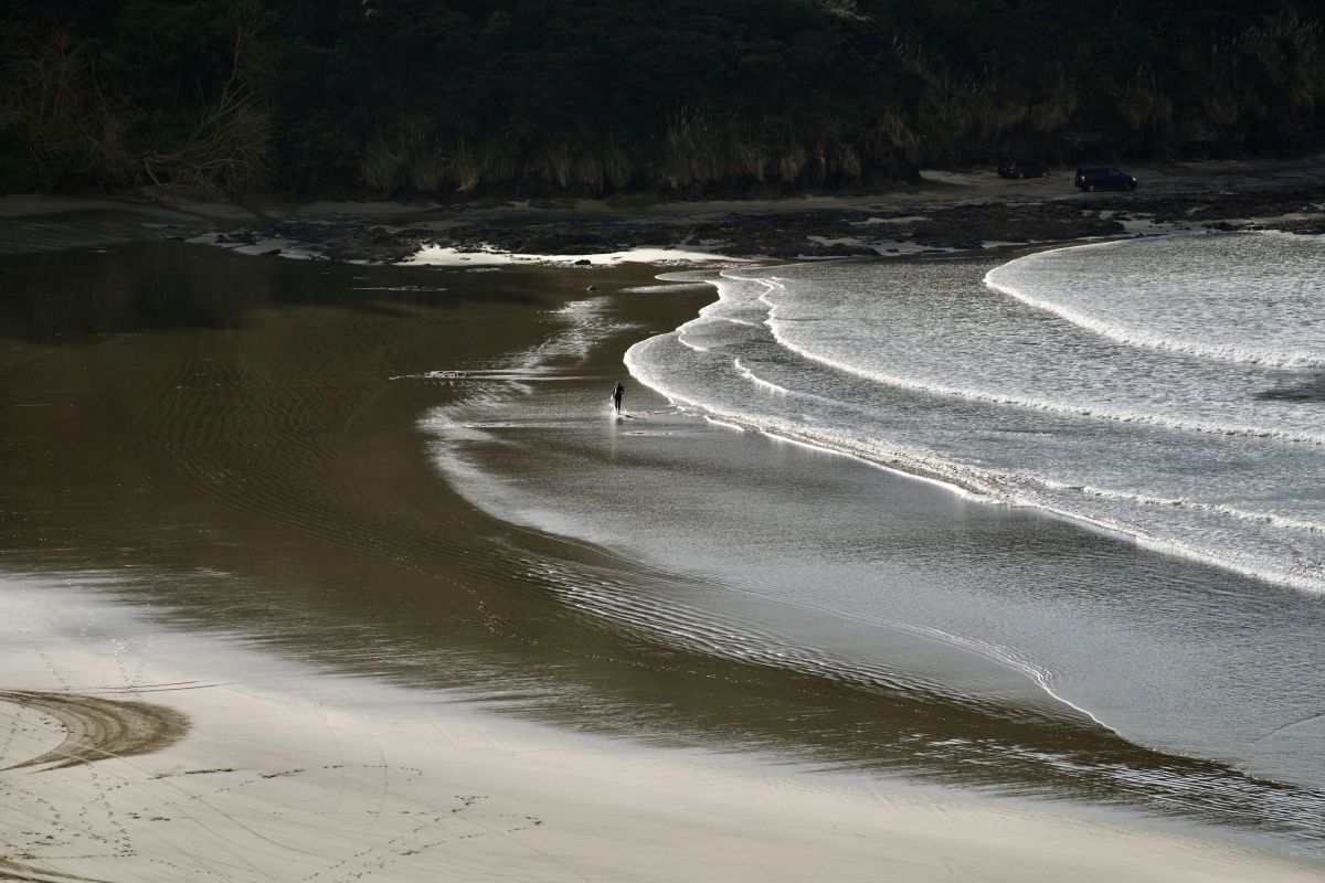 Between the Waves | GANREF