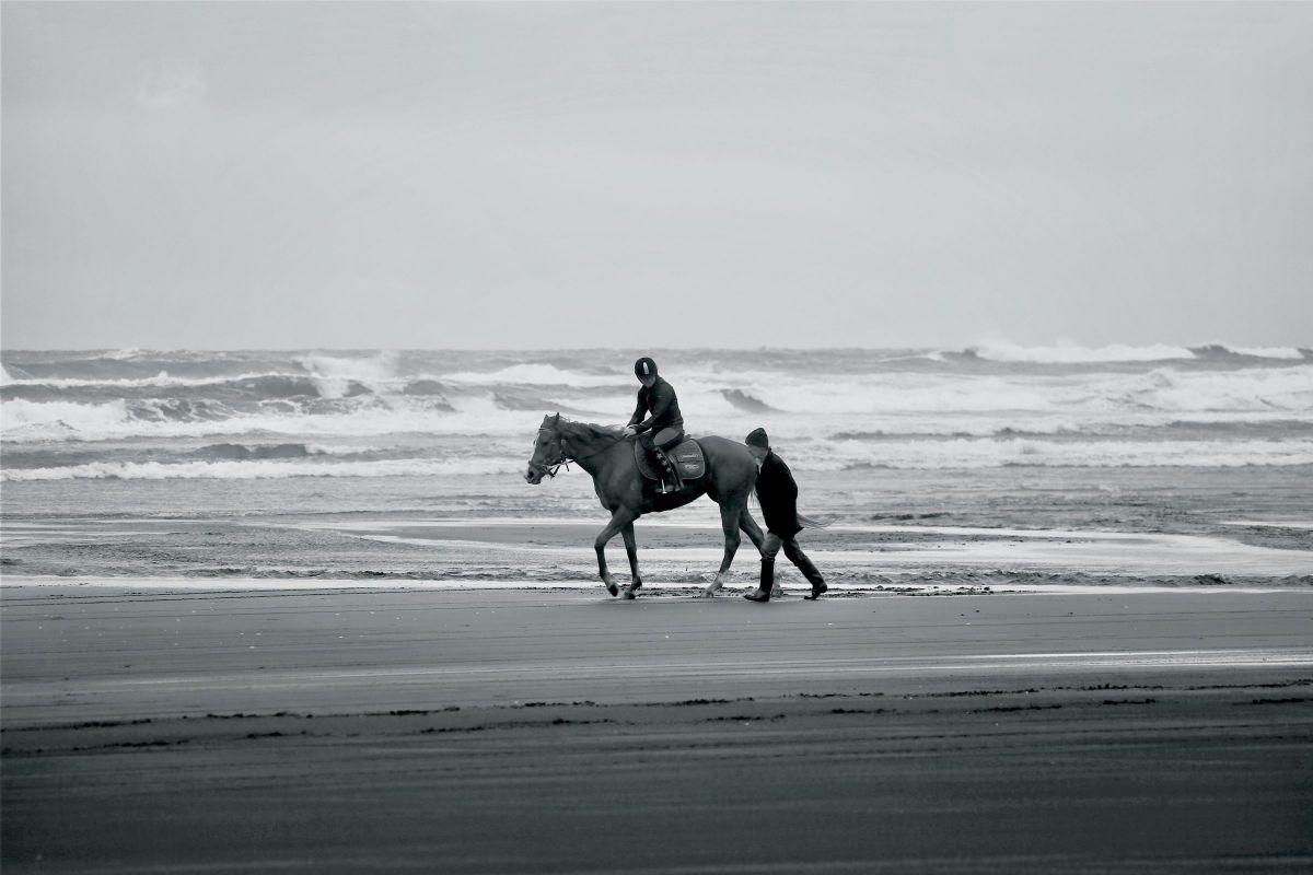 Conversation | GANREF