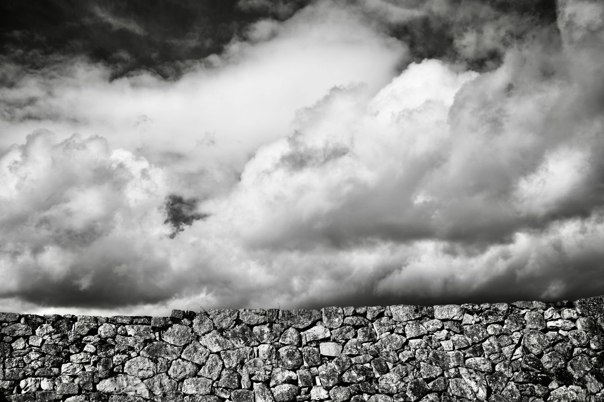 Flow & Fixed | GANREF