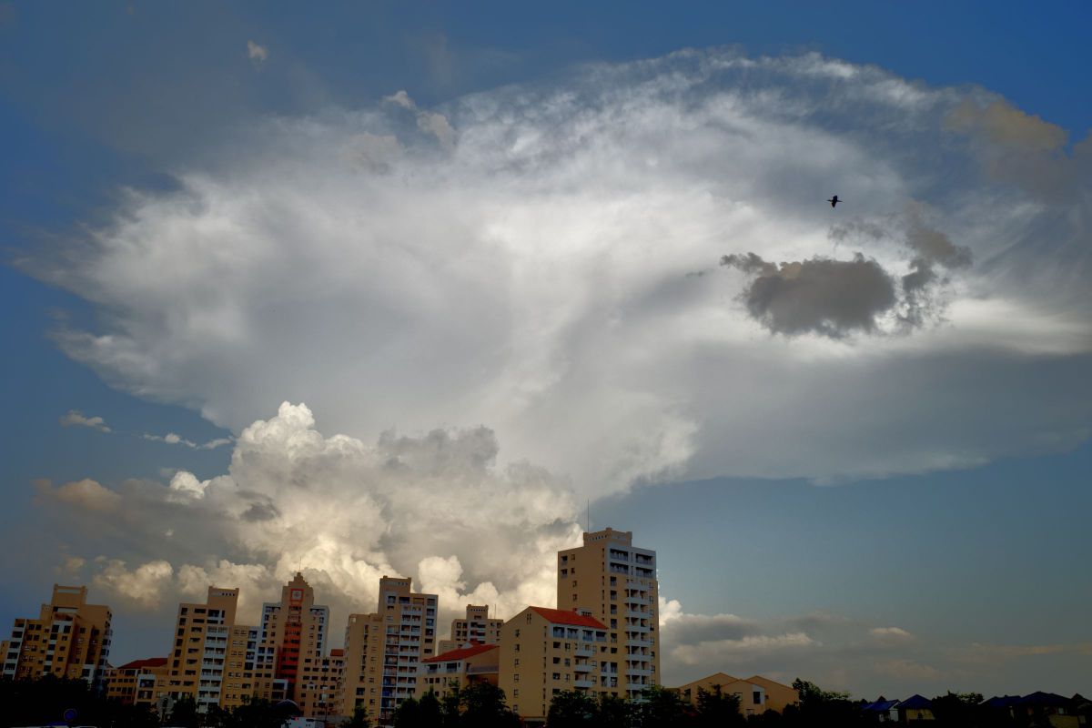 Goodbye Day | GANREF