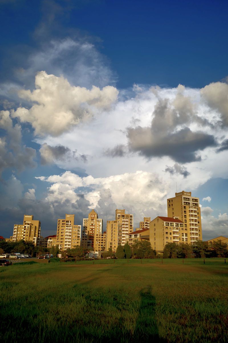 Goodbye Day* | GANREF