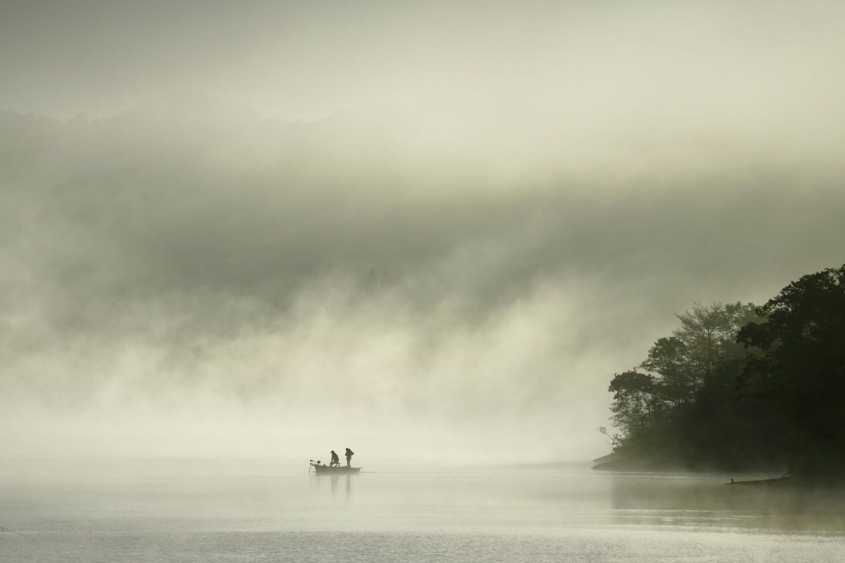 Morning Mist * | GANREF