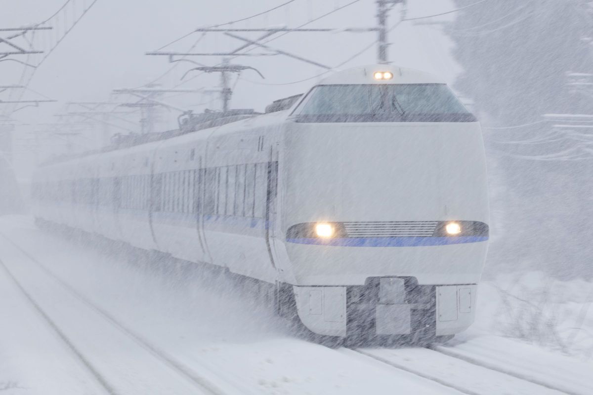 White Express | GANREF