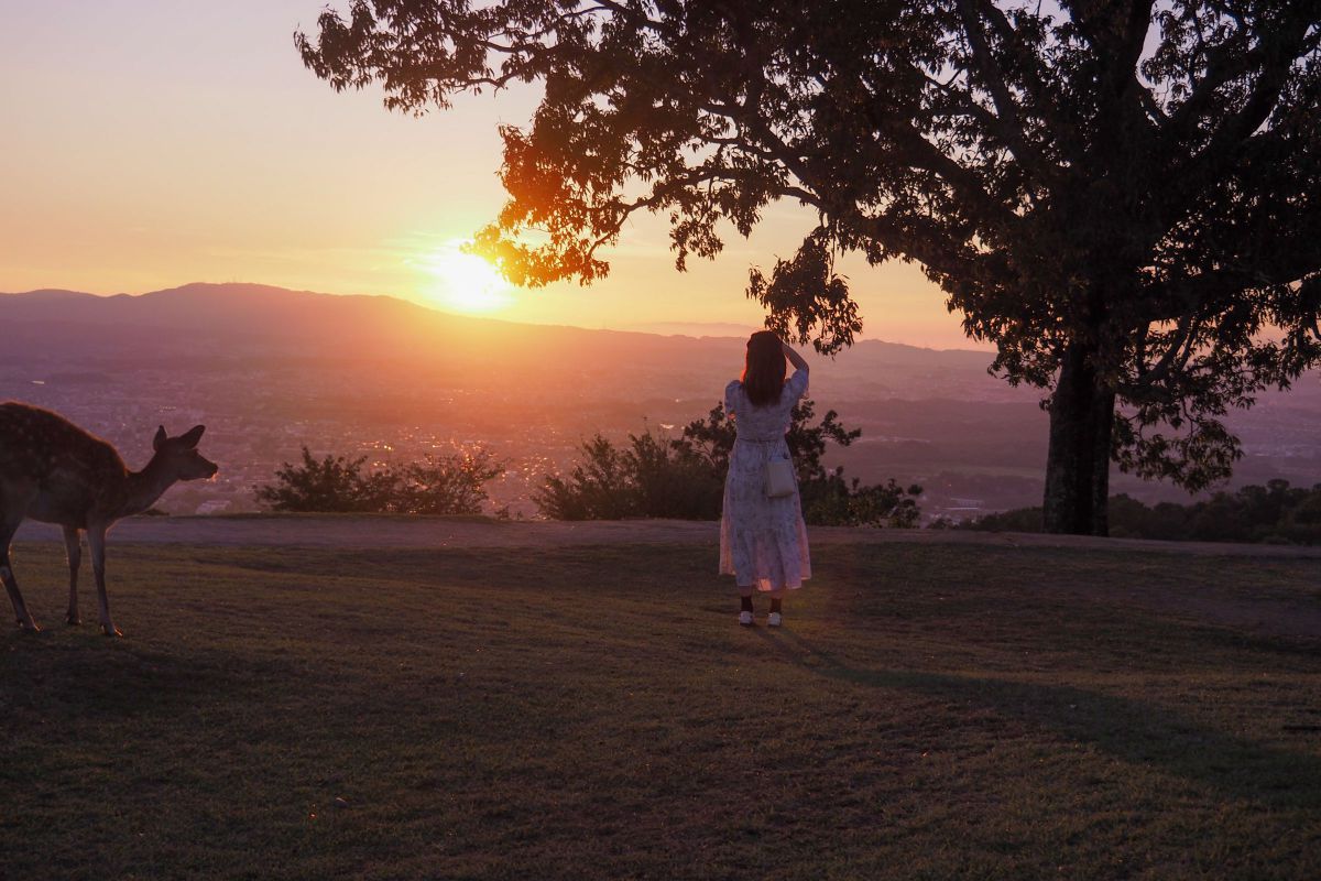 撮る人 2 | GANREF