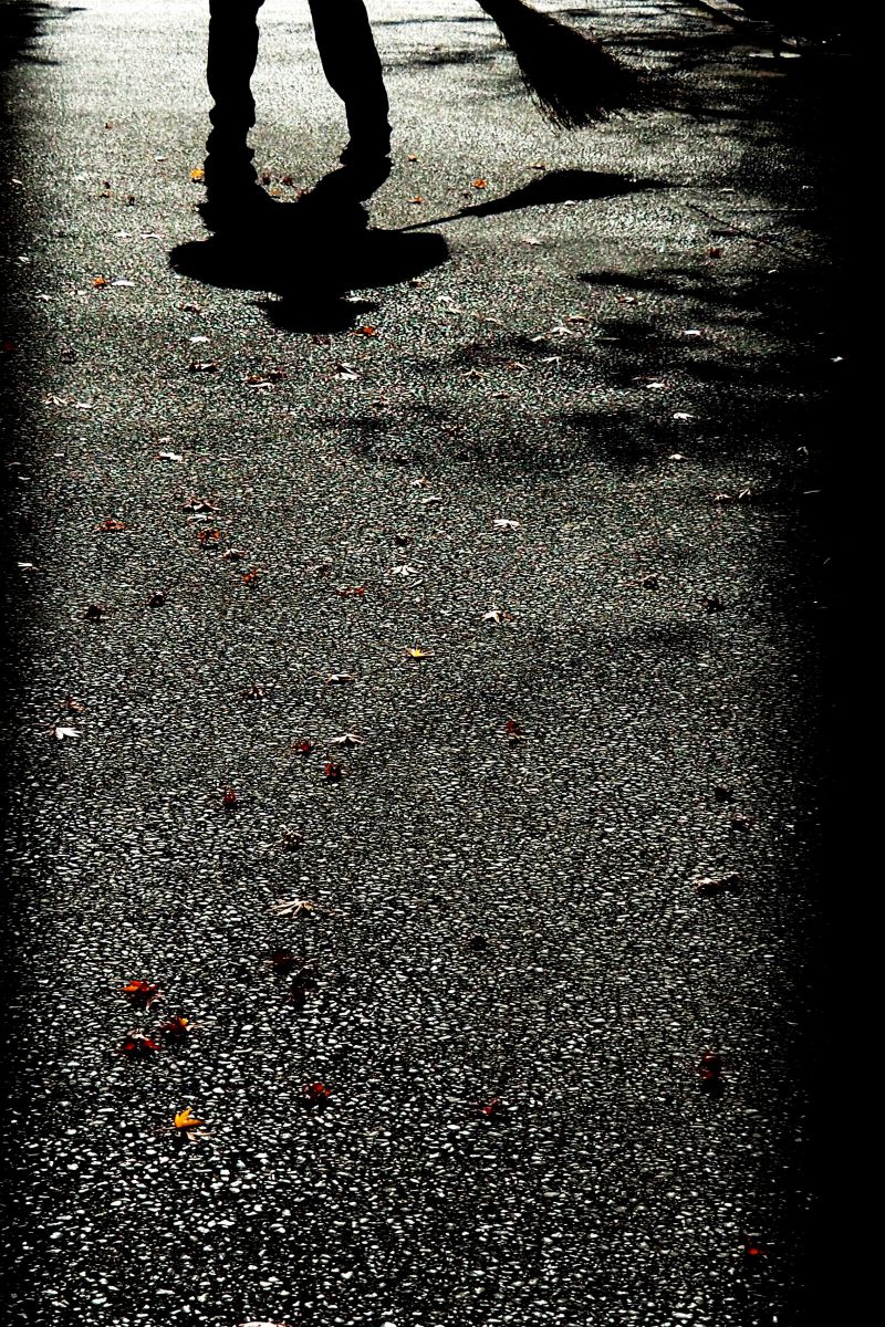 掃いても掃いても | GANREF