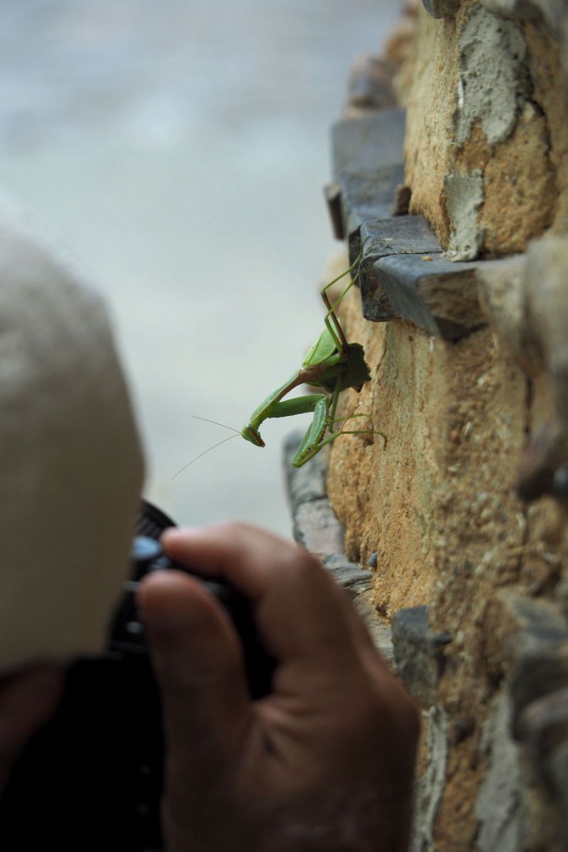 撮る人 5 | GANREF