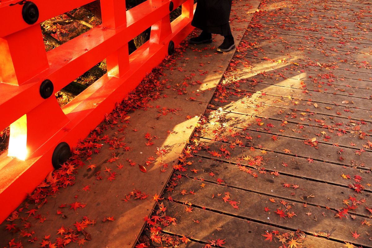 古都晩秋 2 | GANREF