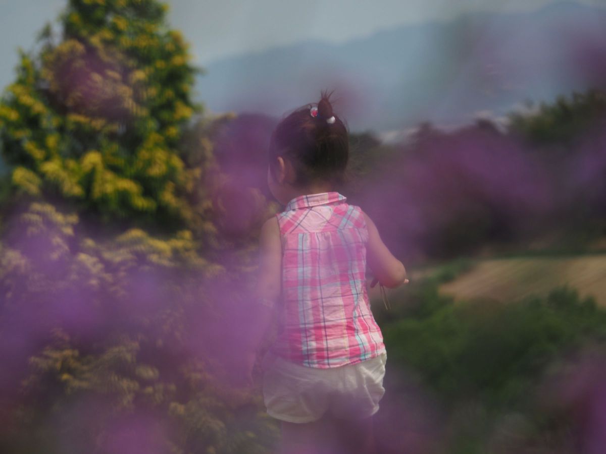 駆ける少女 | GANREF