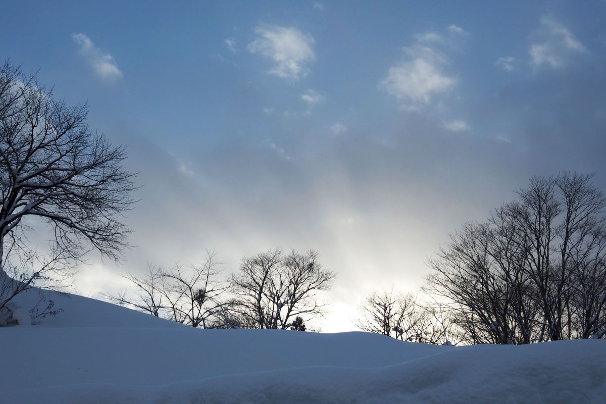 音無き世界 | GANREF