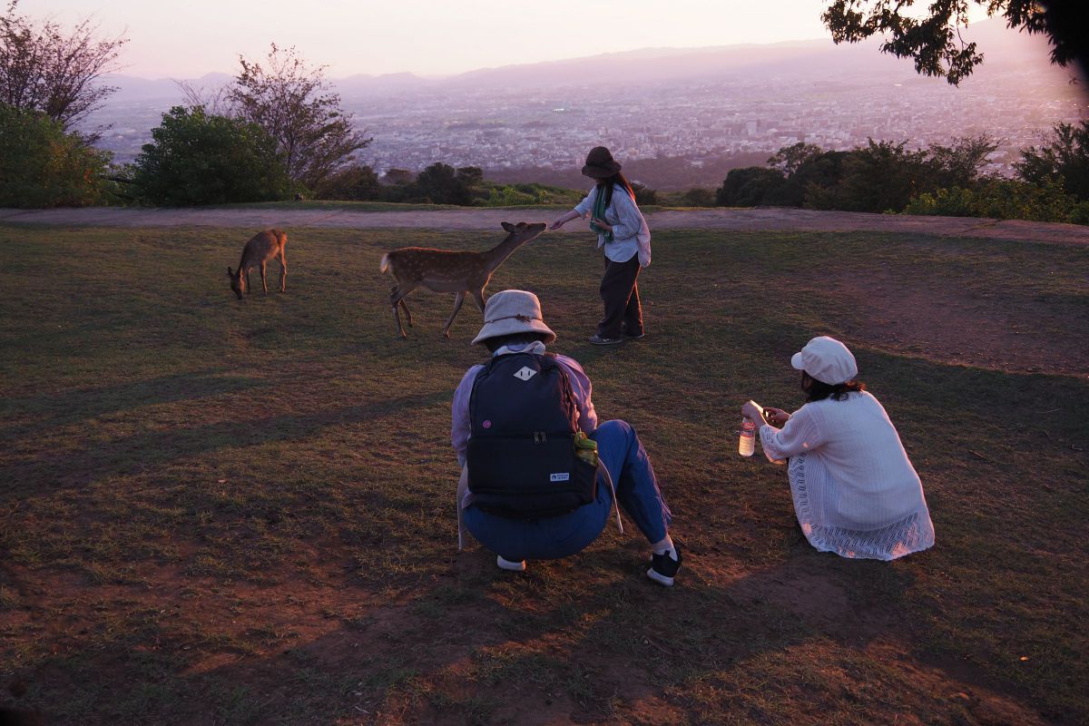 撮る人 1 | GANREF