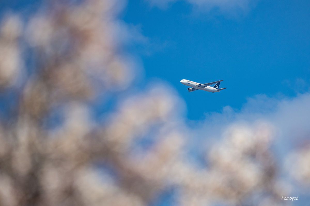 casting with | GANREF