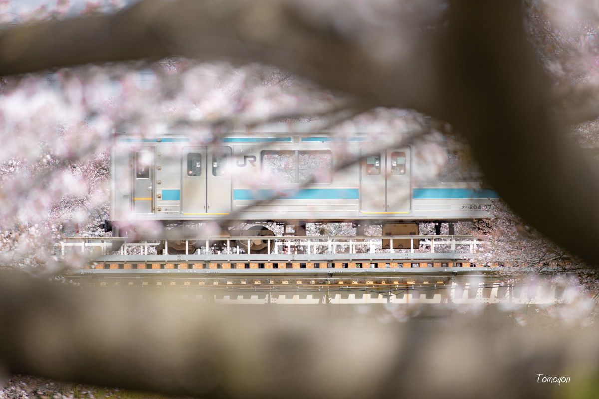 Spring daylight ⑤ | GANREF