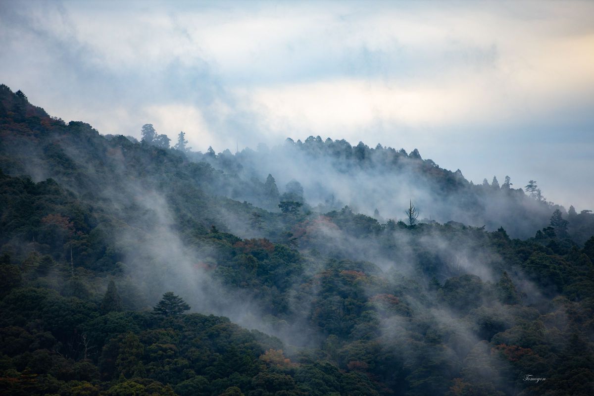 Scenery top of the hill ① | GANREF