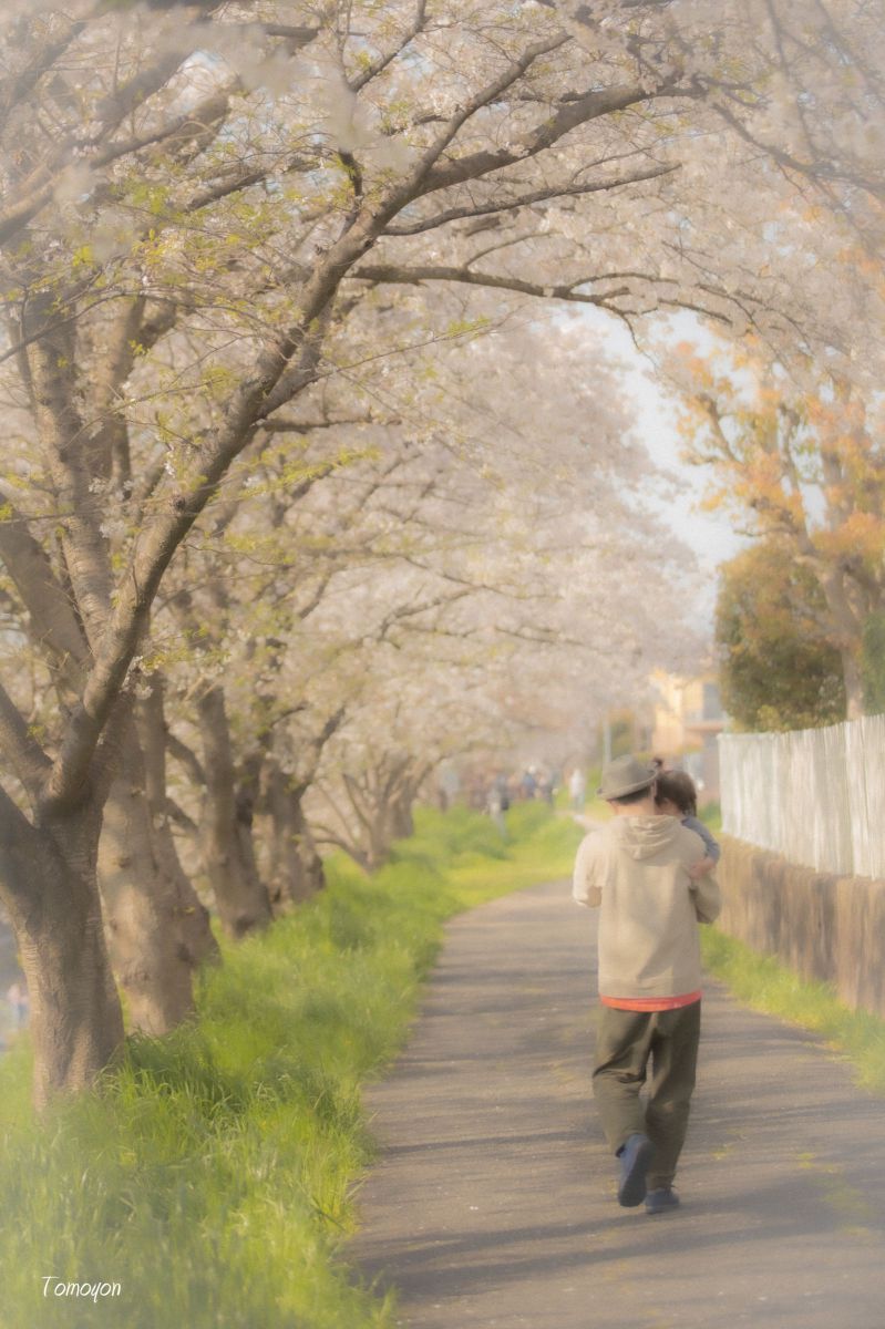 Take a walk | GANREF