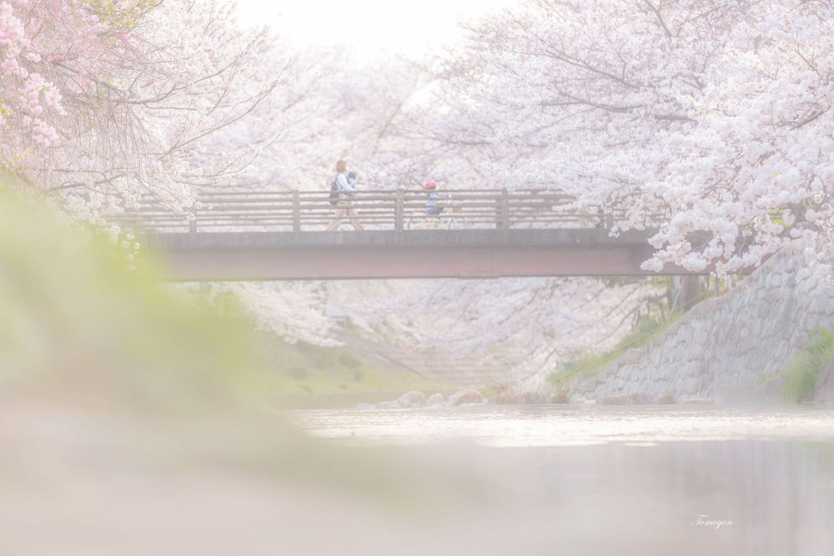 full blooming 2021 ① | GANREF