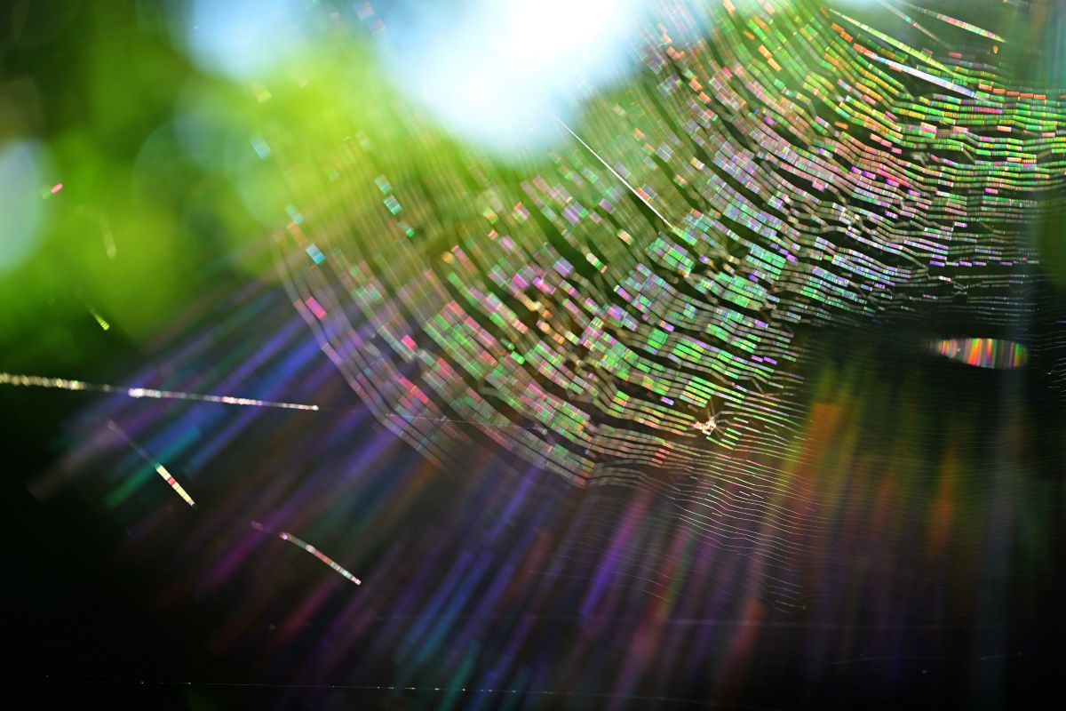 降りそそぐ虹 | GANREF