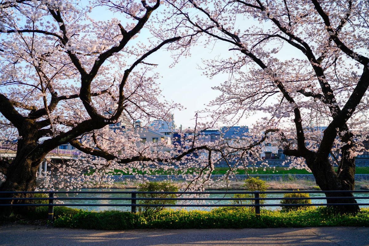 Forever friend | GANREF