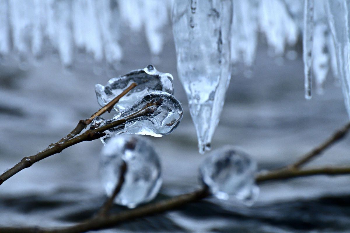 Splash ice art Ⅲ | GANREF