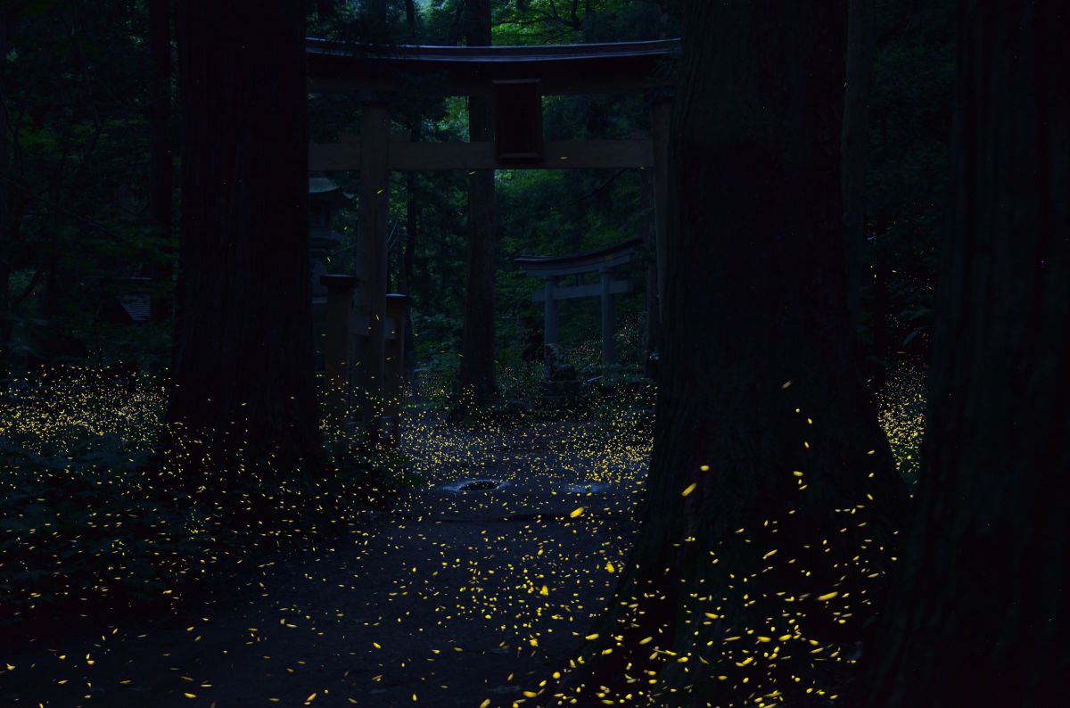 静寂の中で・・・ | GANREF