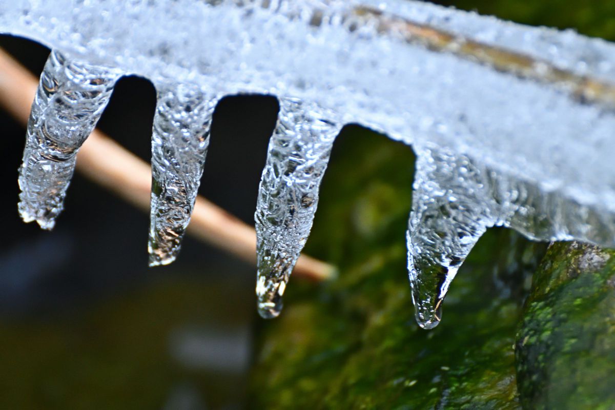 Splash ice art Ⅱ | GANREF