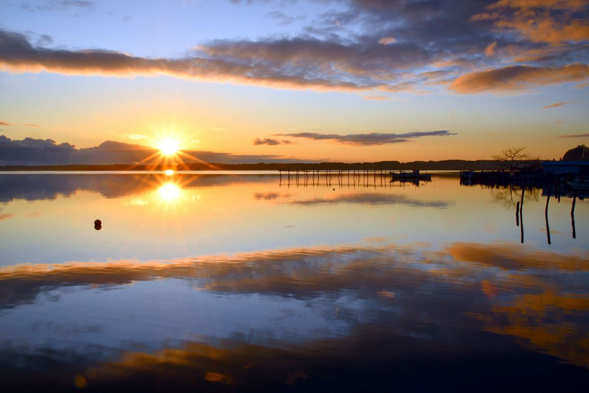 Double Sunrise | GANREF