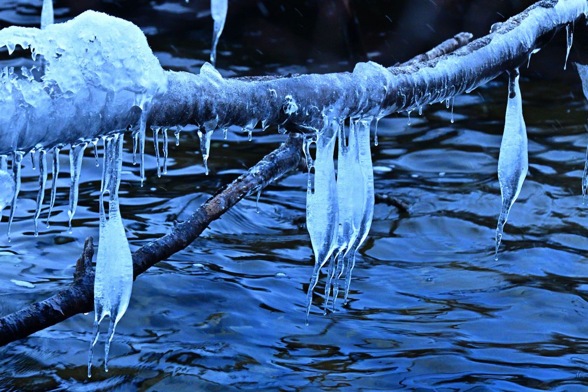 Splash ice art Ⅳ | GANREF