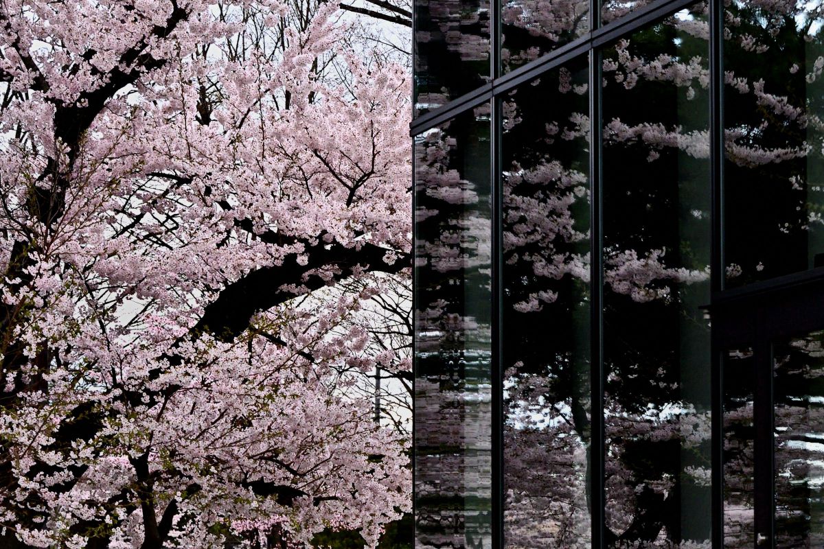 Half and half | GANREF