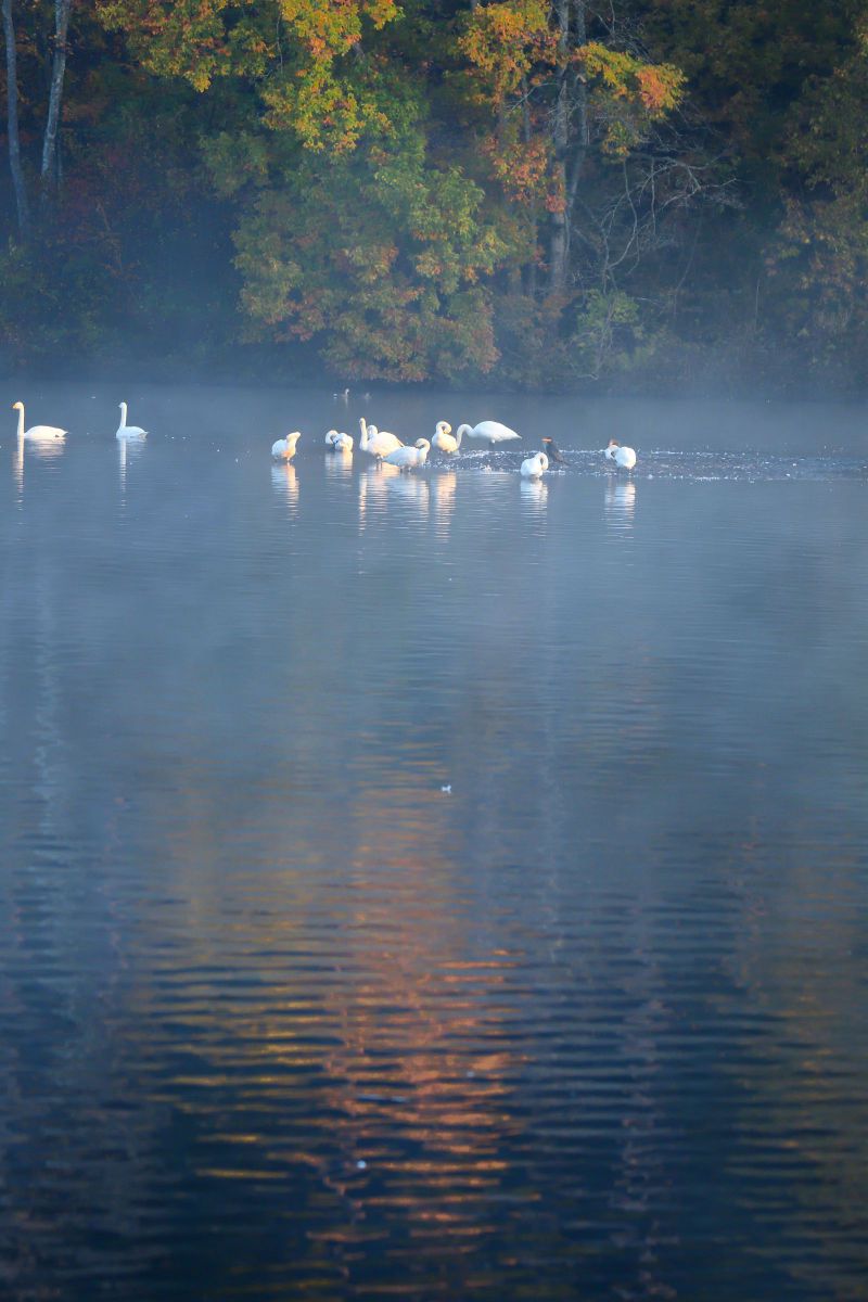 おはよう～～！！ | GANREF
