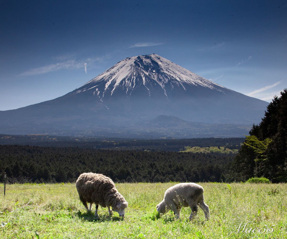 May the calm days continue | GANREF