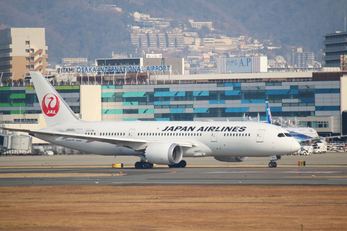 伊丹のターミナルとJAL's 787-8 | GANREF
