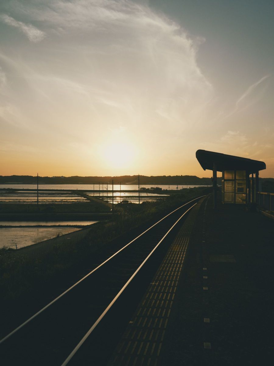 水田の海へ沈む夕日 | GANREF
