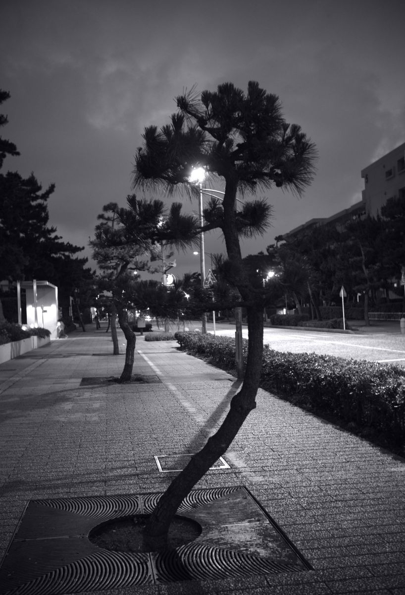 街角モノクローム | GANREF