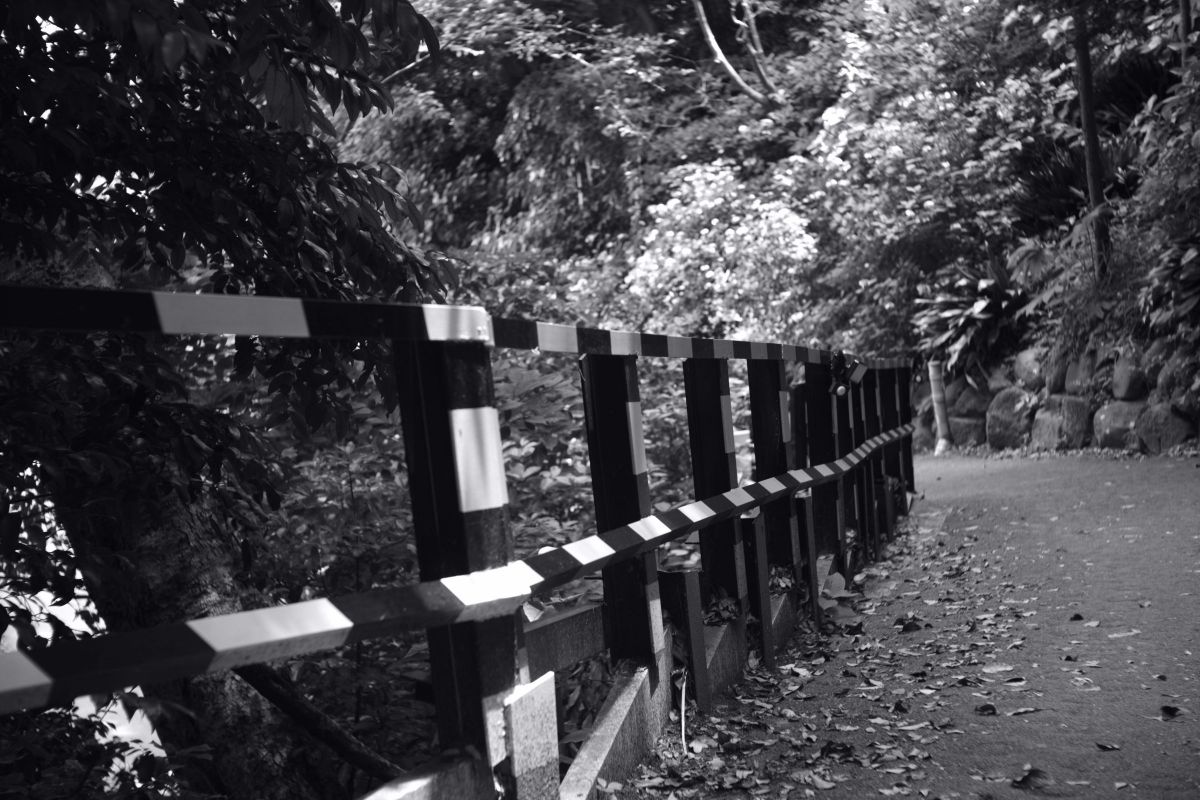 Enoshima road | GANREF