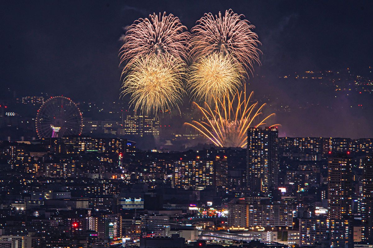 万博花火2024 | GANREF