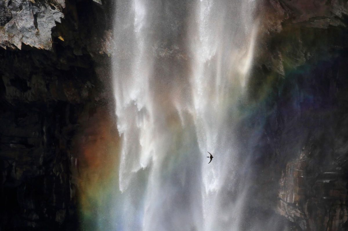 Natural Formation | GANREF