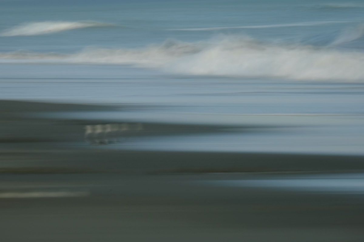 Edge of the water | GANREF