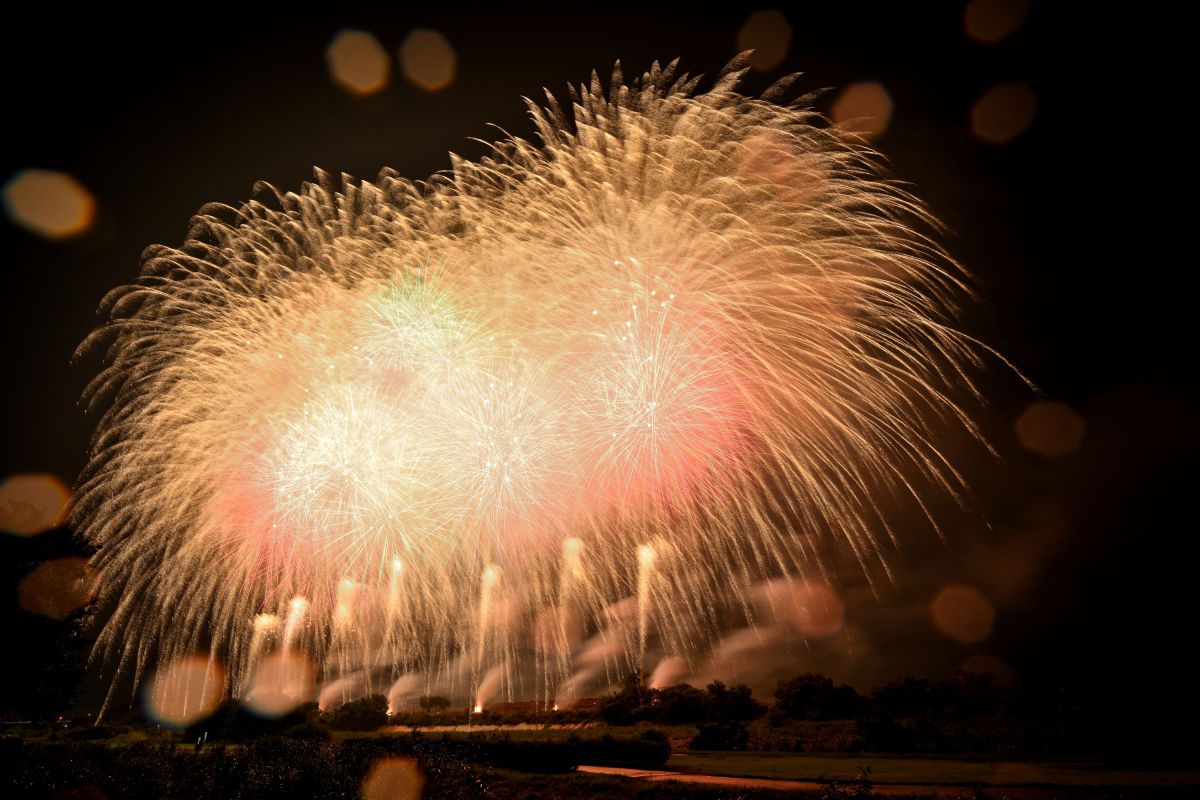 Hanabi-Final | GANREF