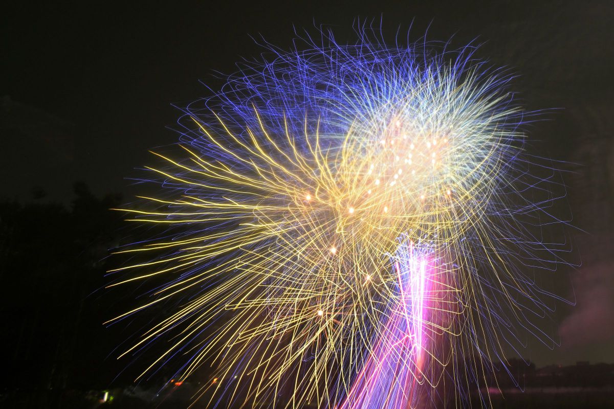 Hanabi-番外編 | GANREF