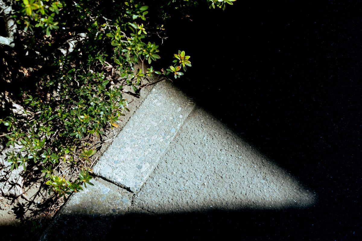 1nen-292.jpg | GANREF