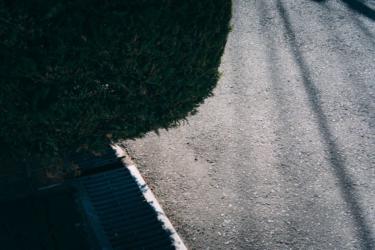 1nen-304.jpg | GANREF