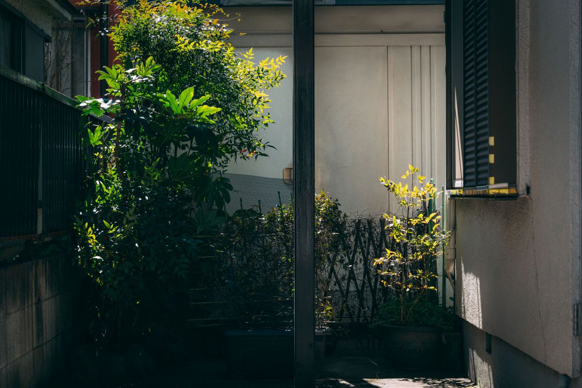 1nen-310.jpg | GANREF