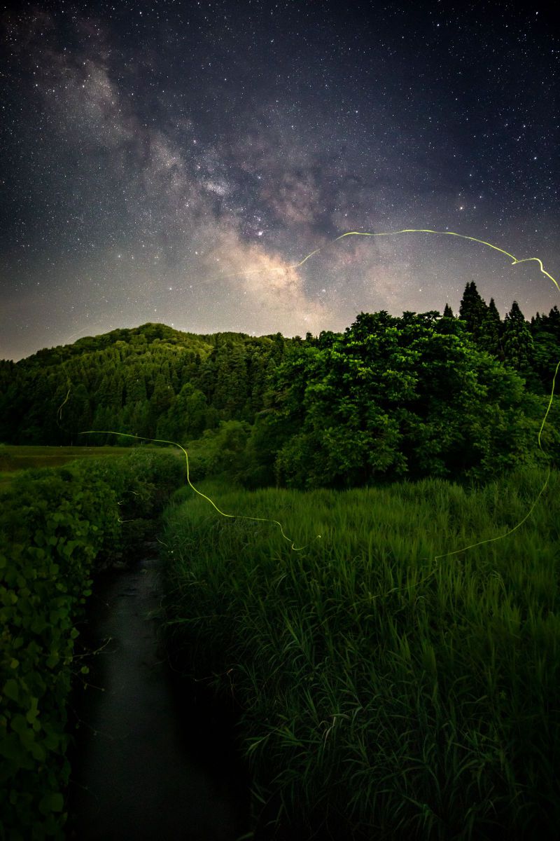 𝚍𝚊𝚗𝚌𝚎 | GANREF